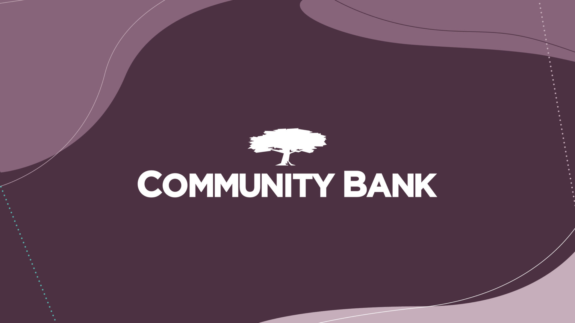 Community Bank Business Banking Campaign - Raborn Media